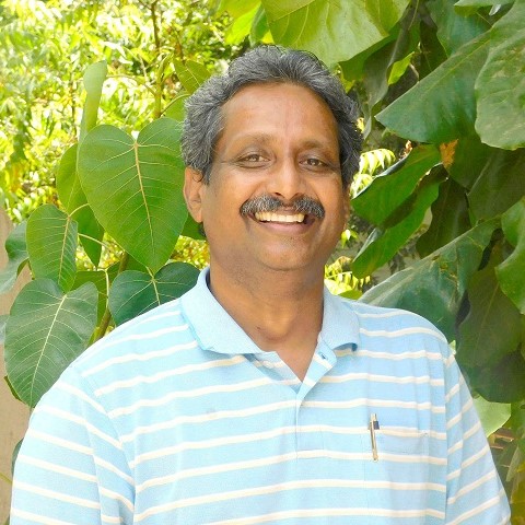 Intracellular Quality and Metabolic Control from E. coli to Homo sapiens